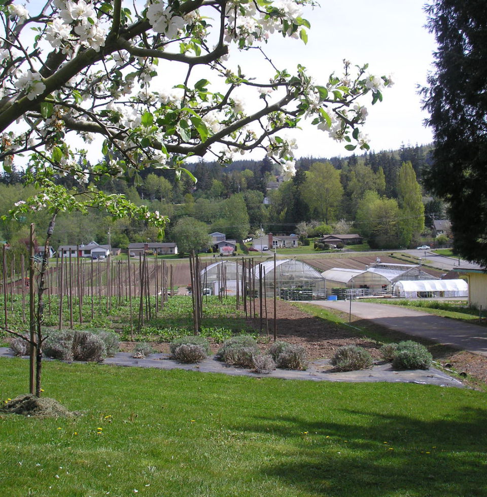 Joes Garden Bellingham | Fasci Garden